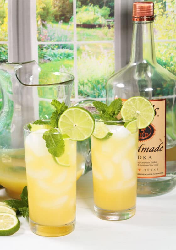 Vodka Limeade Recipe