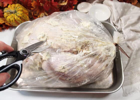 How to Cook a Turkey in a Bag
