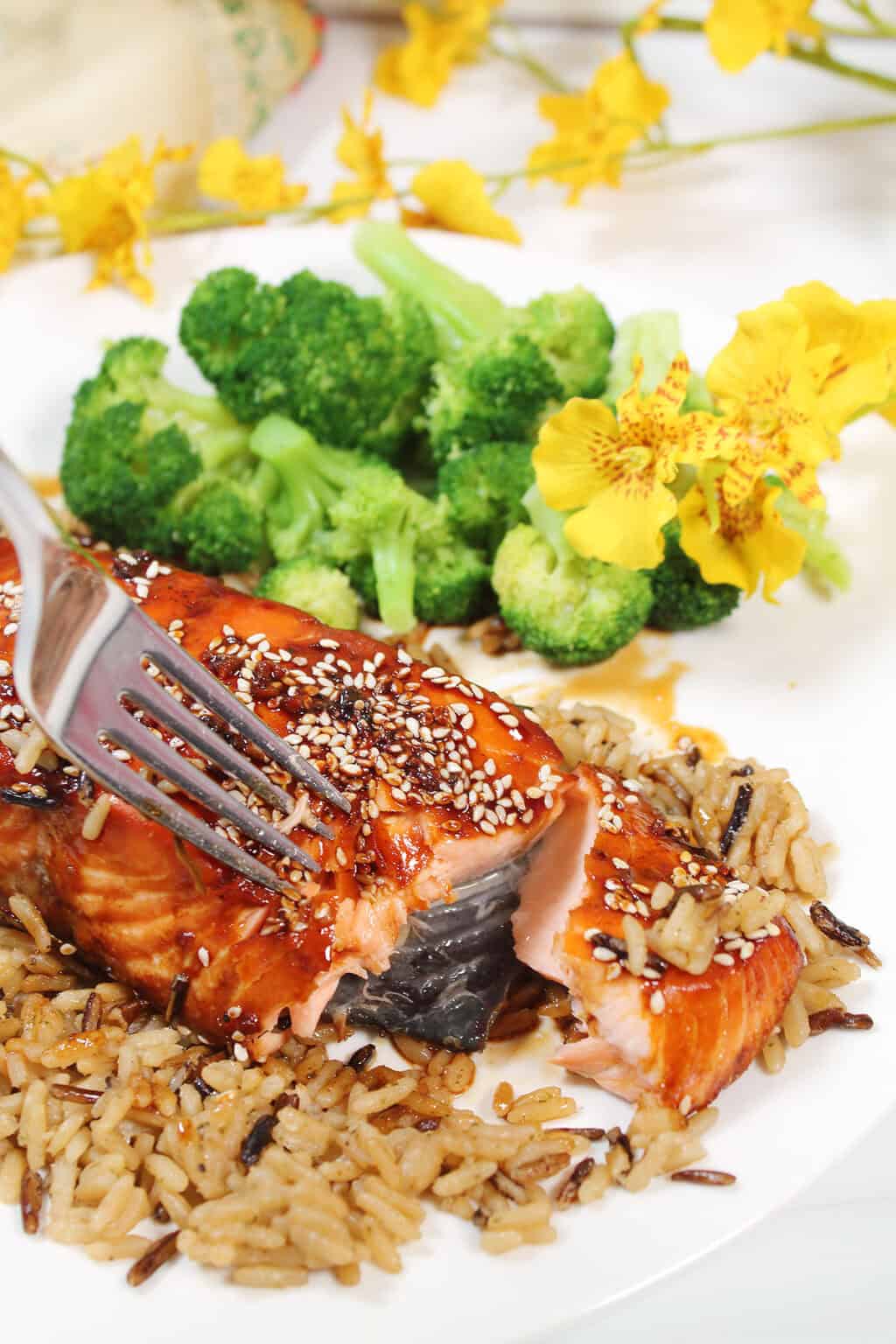 Honey Soy Glazed Salmon (Easy Oven Baked Recipe)
