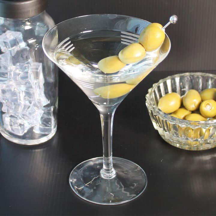 51 Best Martini Cocktail Recipes