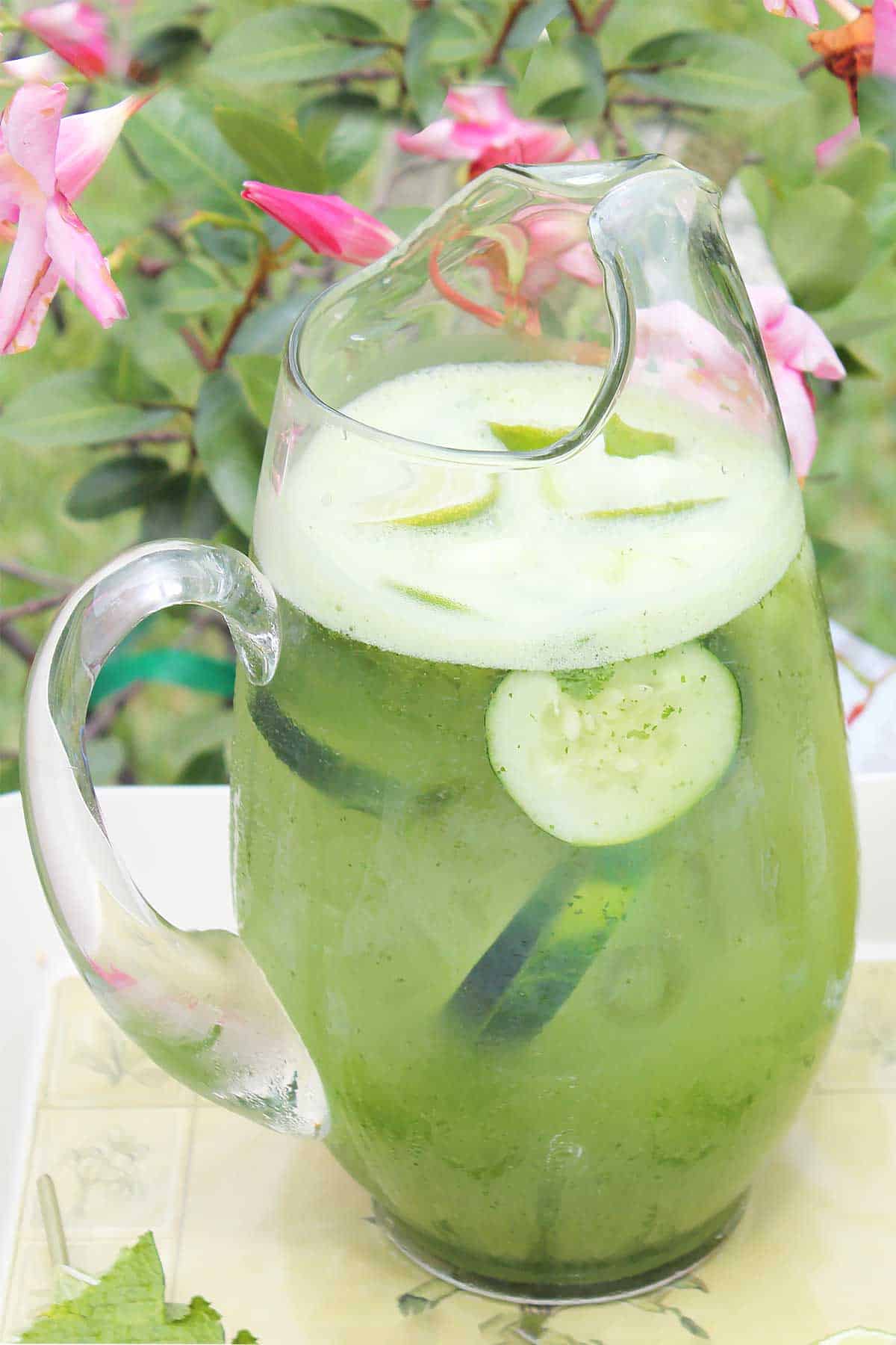 Cucumber Cocktail
