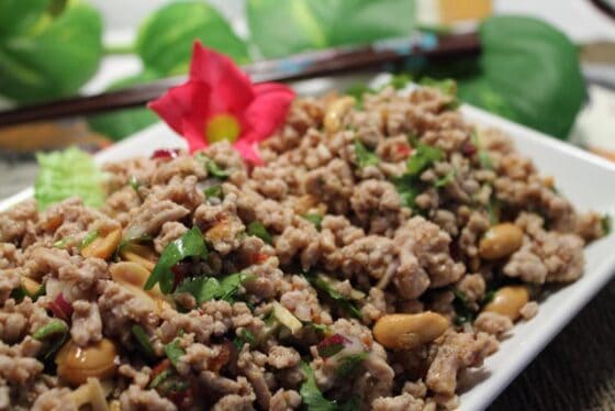 Nam Sod A Thai Pork Salad