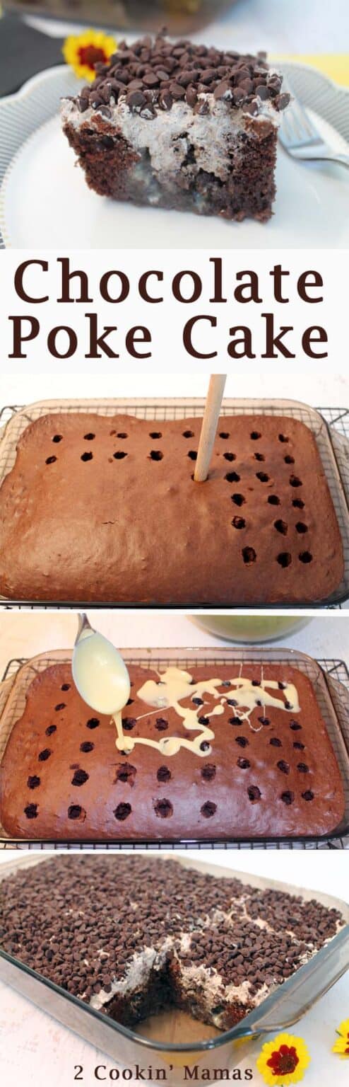 Chocolate Lovers Chocolate Poke Cake - 2 Cookin Mamas