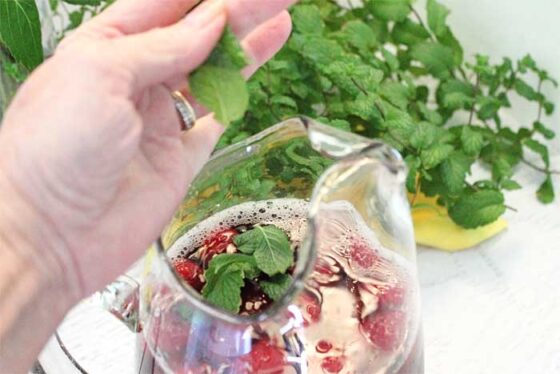 Raspberry Mint Iced Tea - 2 Cookin Mamas