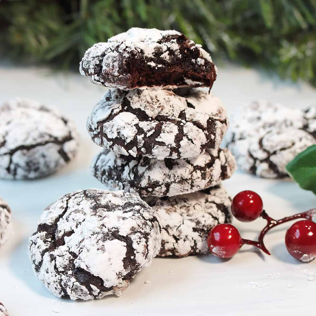 Double Chocolate Crinkle Cookies - 2 Cookin Mamas
