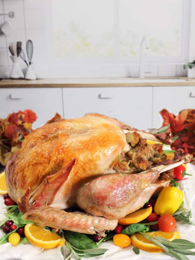 How to Cook A Turkey in a Bag - 2 Cookin Mamas