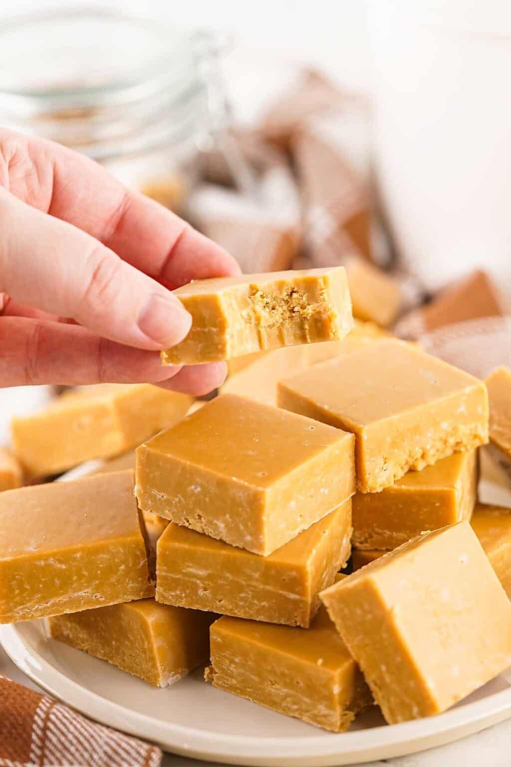 2 Ingredient Caramel Fudge (Quick & Easy Microwave Recipe)