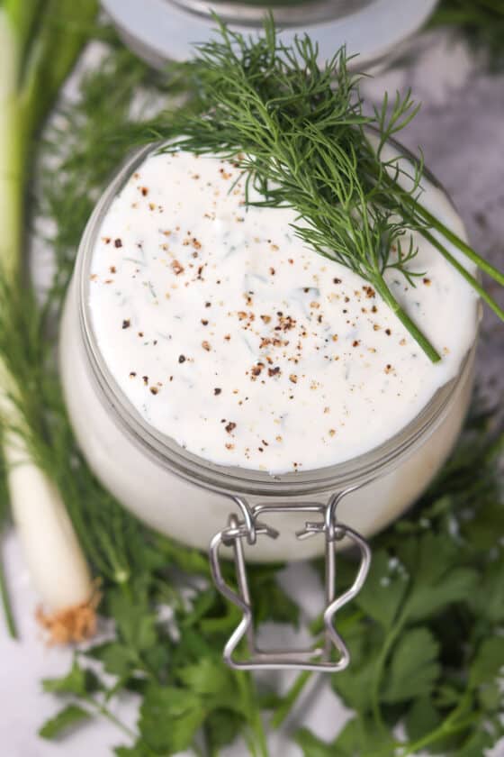 Creamy Herb Ranch Dressing - 2 Cookin Mamas
