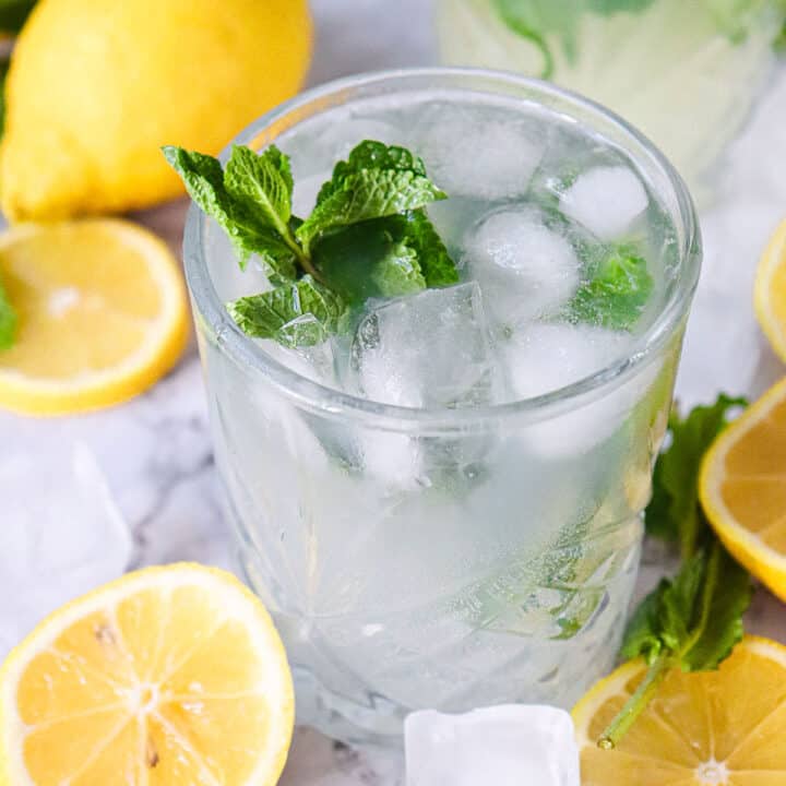 Lemon Mojito Mocktail