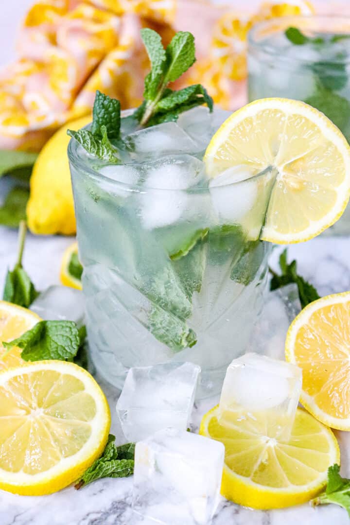Lemon Mojito Mocktail