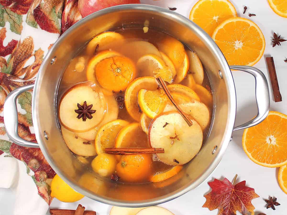 Fall Simmer Pot